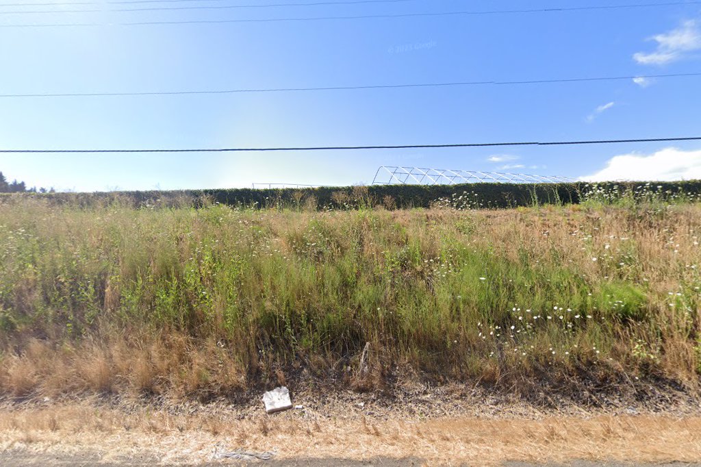 Christmas Tree Farms in Oregon - Homeslyst